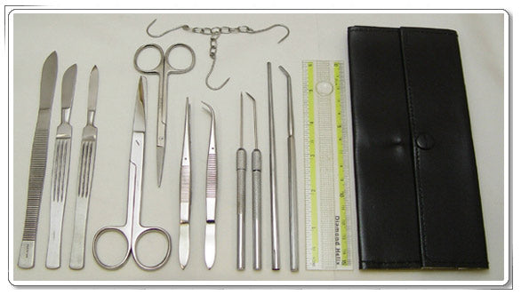 Anatomy Dissecting Kit – Taize Shears